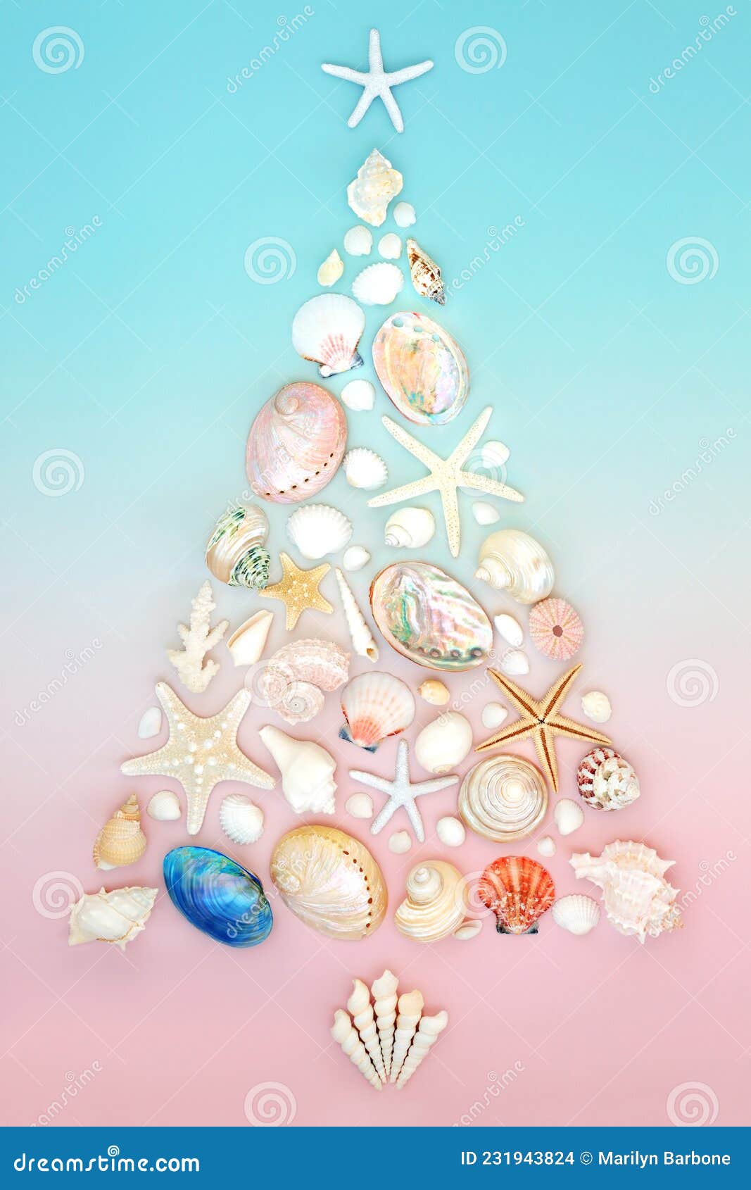Christmas Seashell Tree for the Southern Hemisphere Stock Photo - Image ...