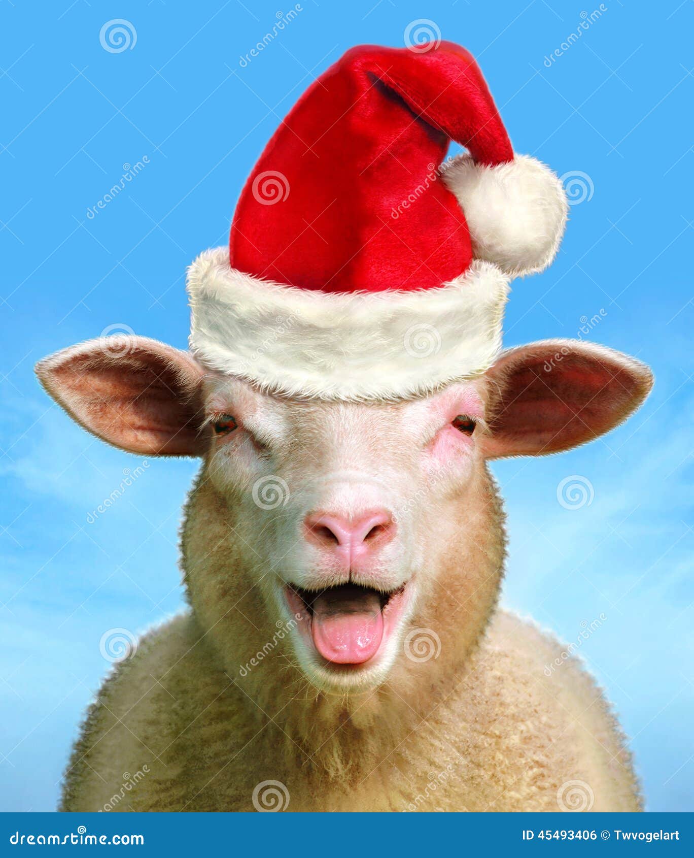 5,219 Christmas Sheep Photos - Free & Royalty-Free Stock Photos from ...