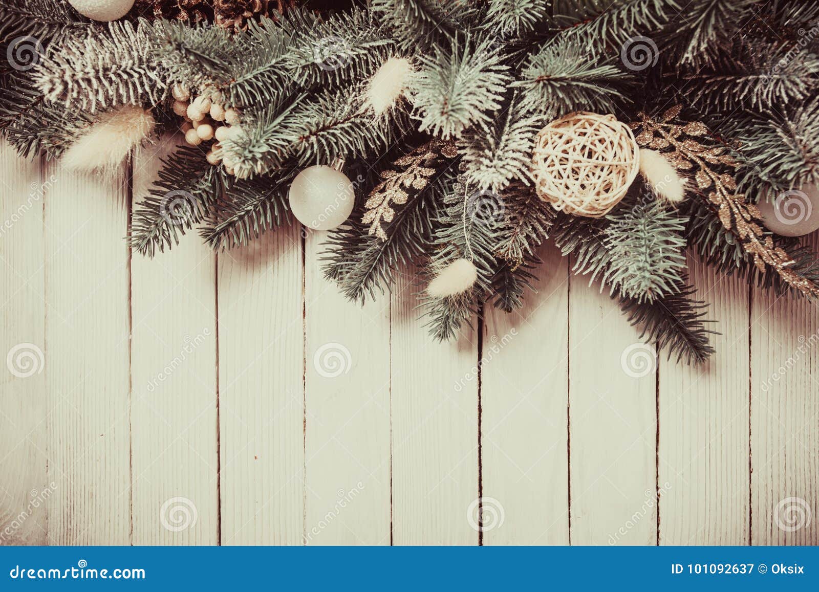 Christmas Snowy Border Design Stock Image - Image of pine, cone: 101092637