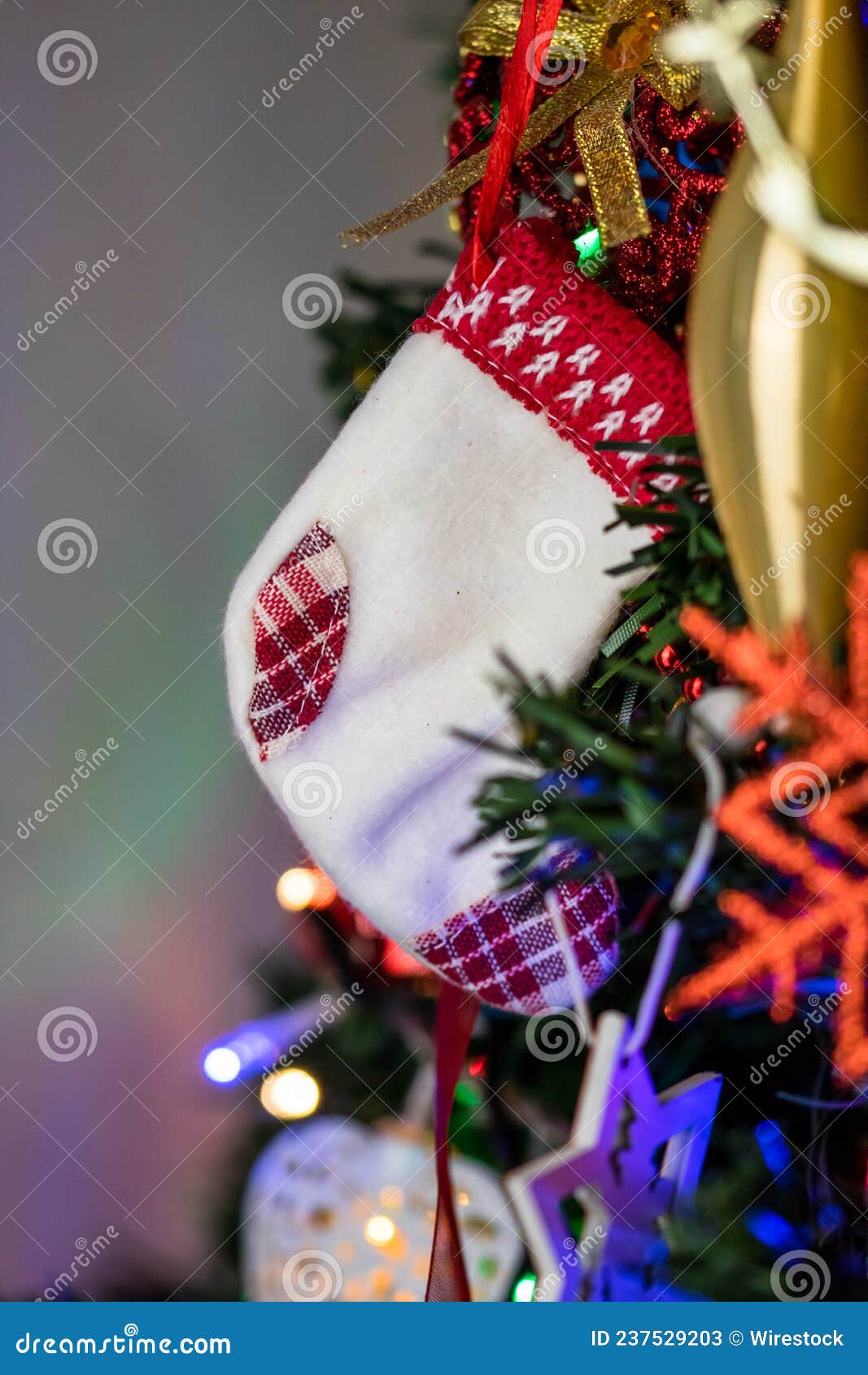 Christmas Sock Hanging on a Decorated Christmas Tree Stock Image ...