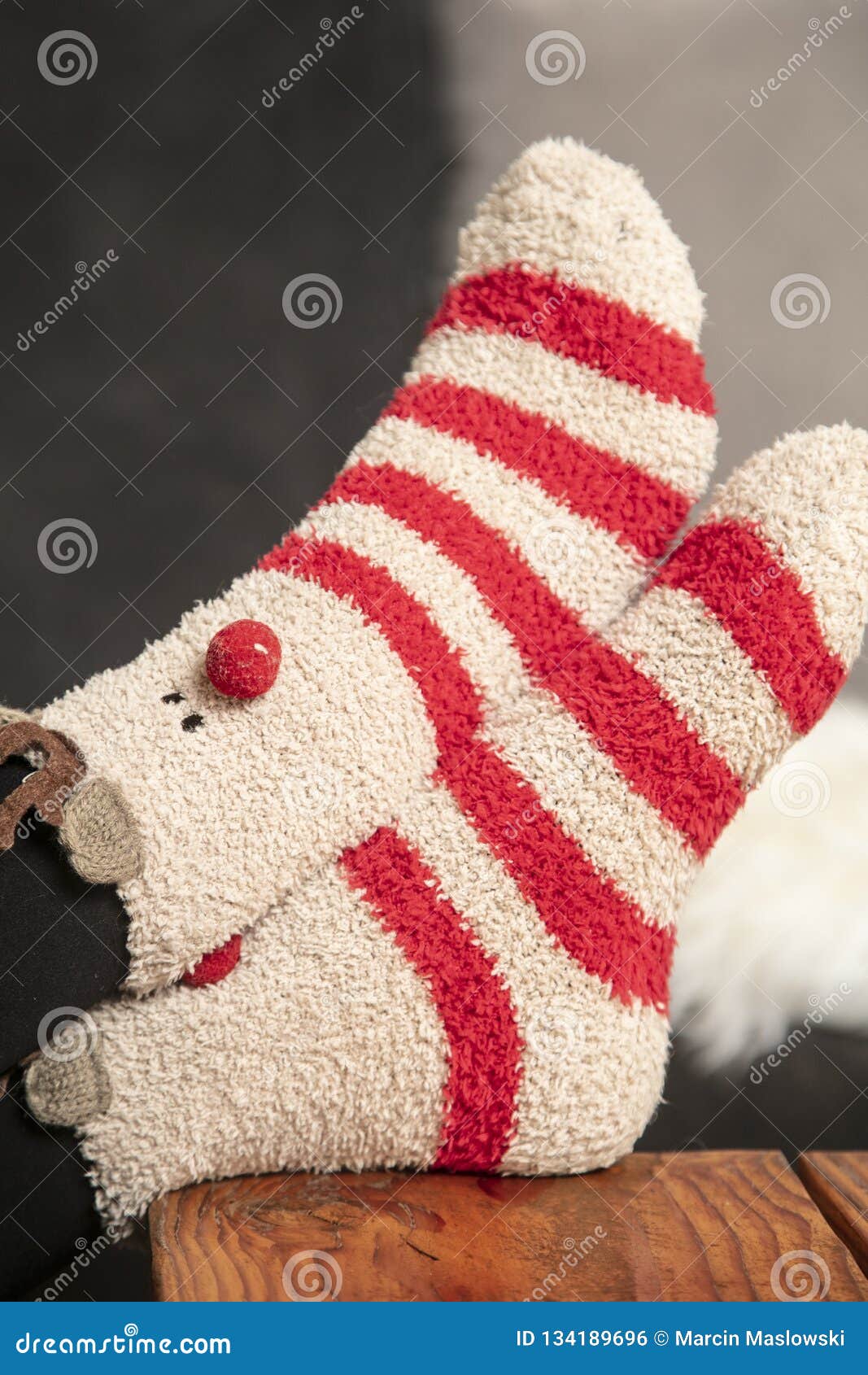 Christmas Socks on Feet, Closeup Stock Photo - Image of beautiful ...