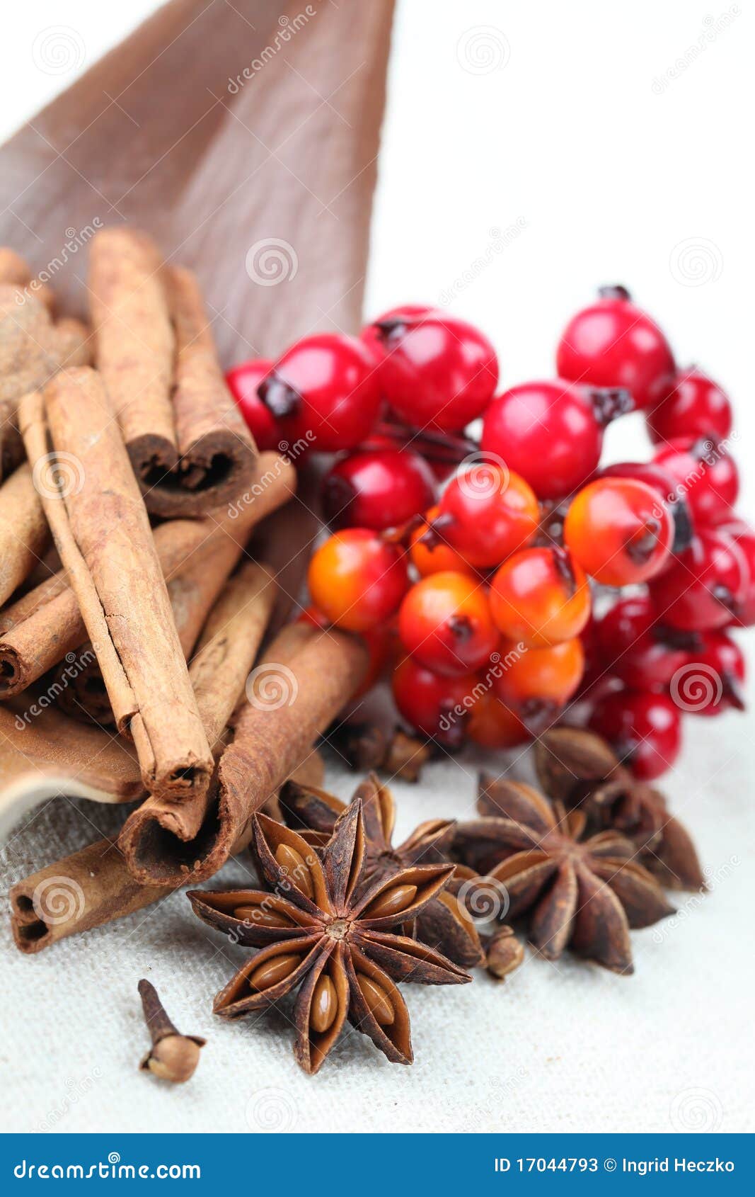 Christmas spices stock image. Image of seasoning, ingredient - 17044793