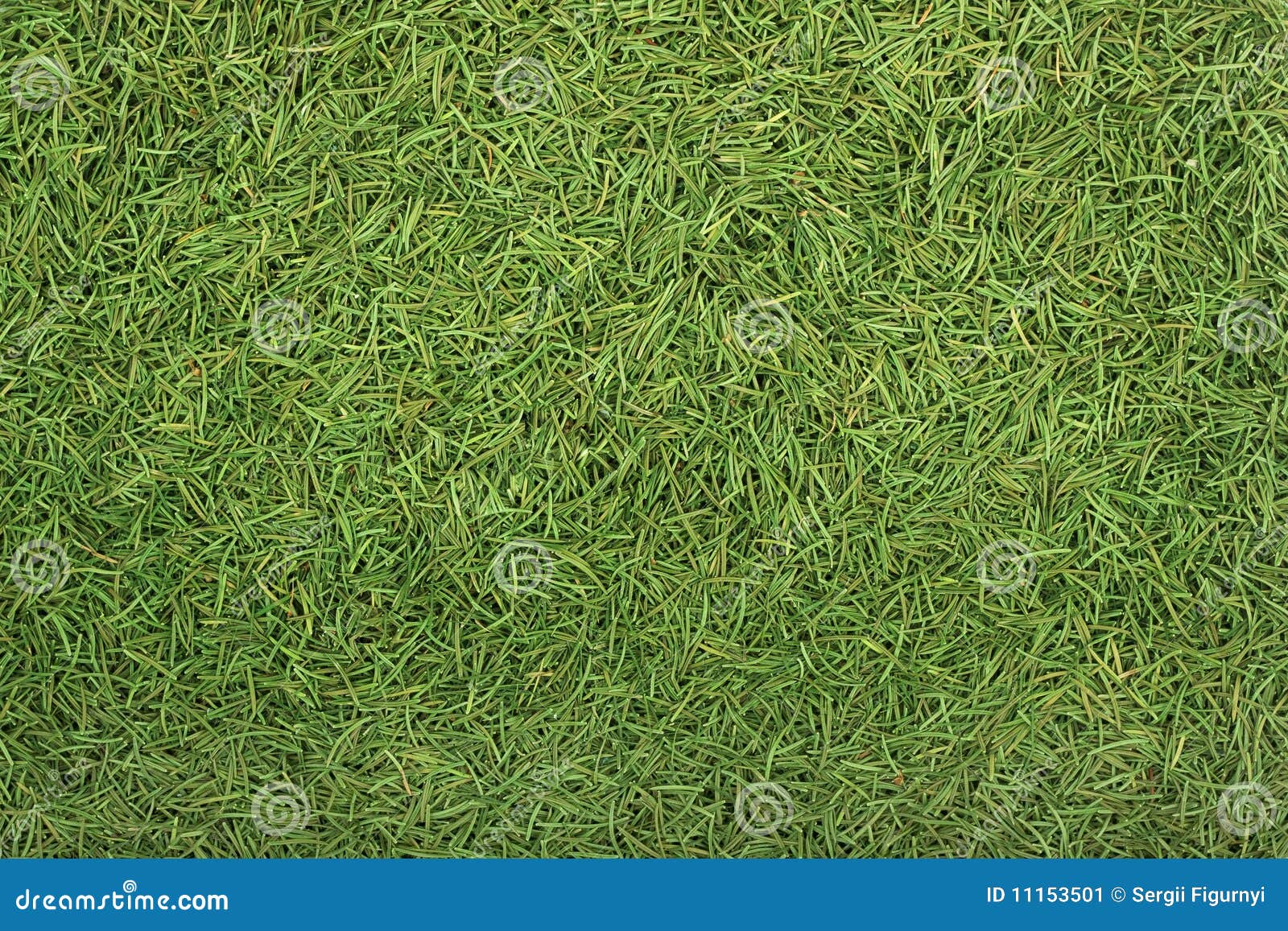 Christmas spruce texture stock image. Image of leaf, ornaments - 11153501