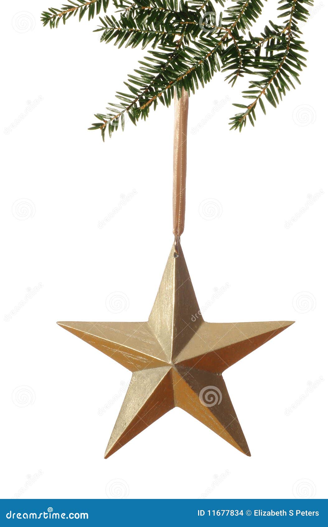 Christmas Star stock photo. Image of gold, pine, branch - 11677834