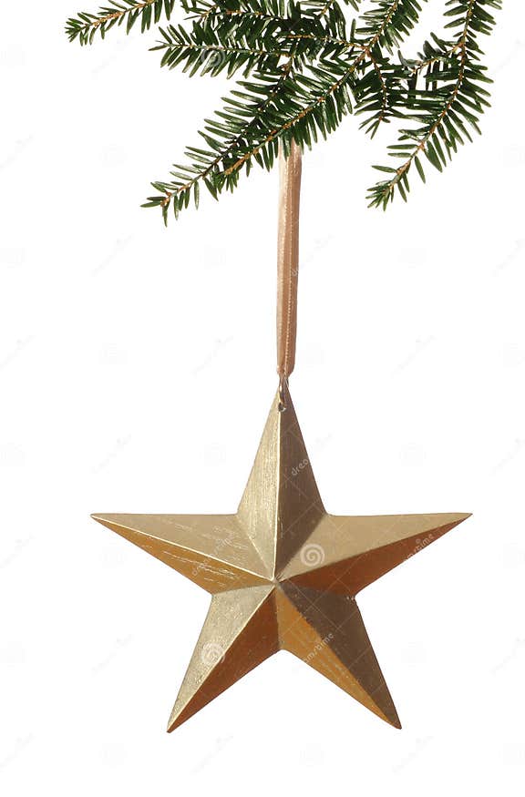 Christmas Star stock photo. Image of gold, pine, branch - 11677834