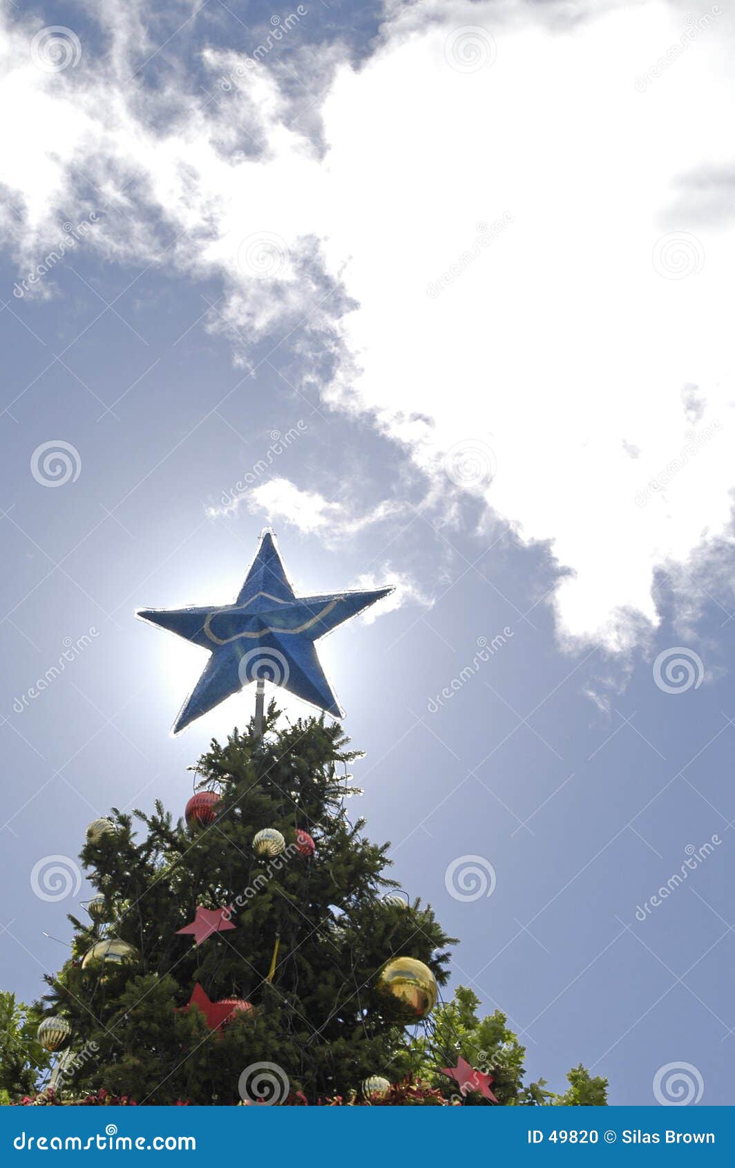 Christmas Star stock photo. Image of holiday, december, happy - 49820