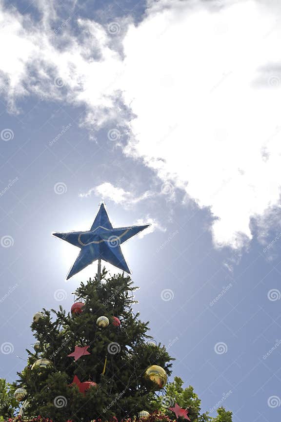 Christmas Star stock photo. Image of holiday, december, happy - 49820