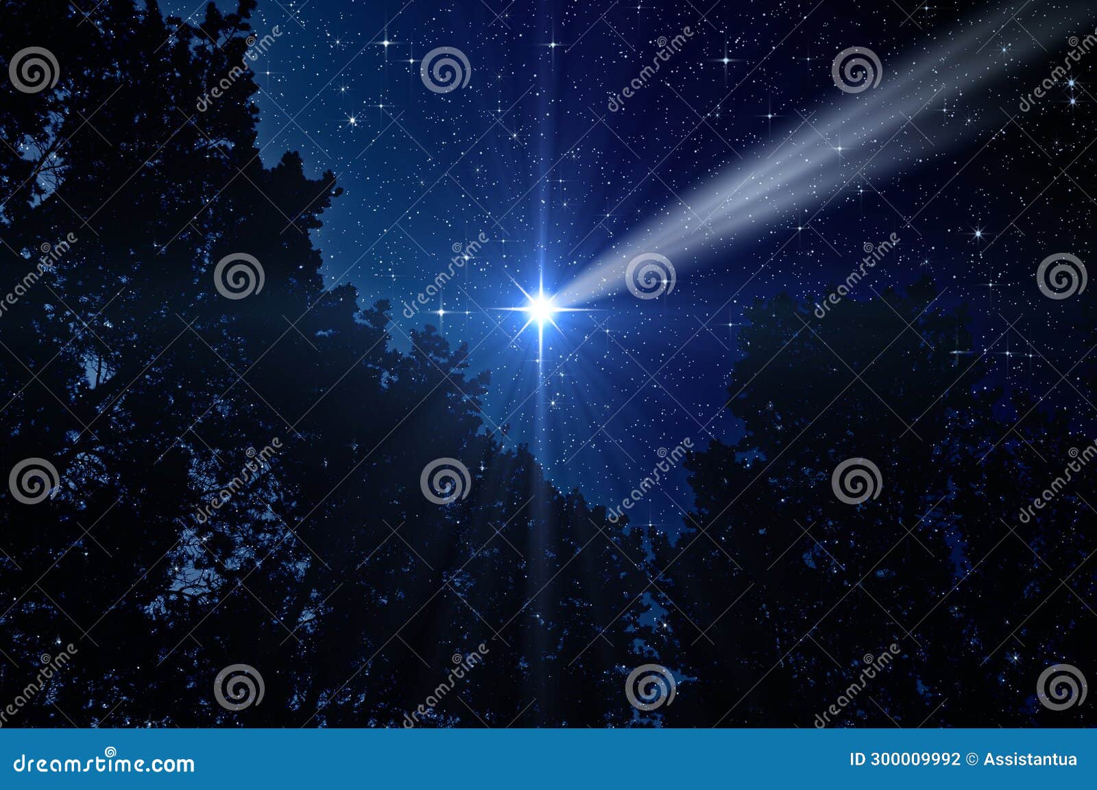 Christmas Star, Birth of Jesus Christ Over the Trees. Stock Photo ...