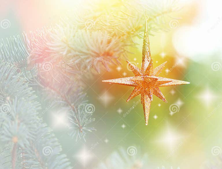 Christmas Star on Christmas Tree Stock Image - Image of nature ...