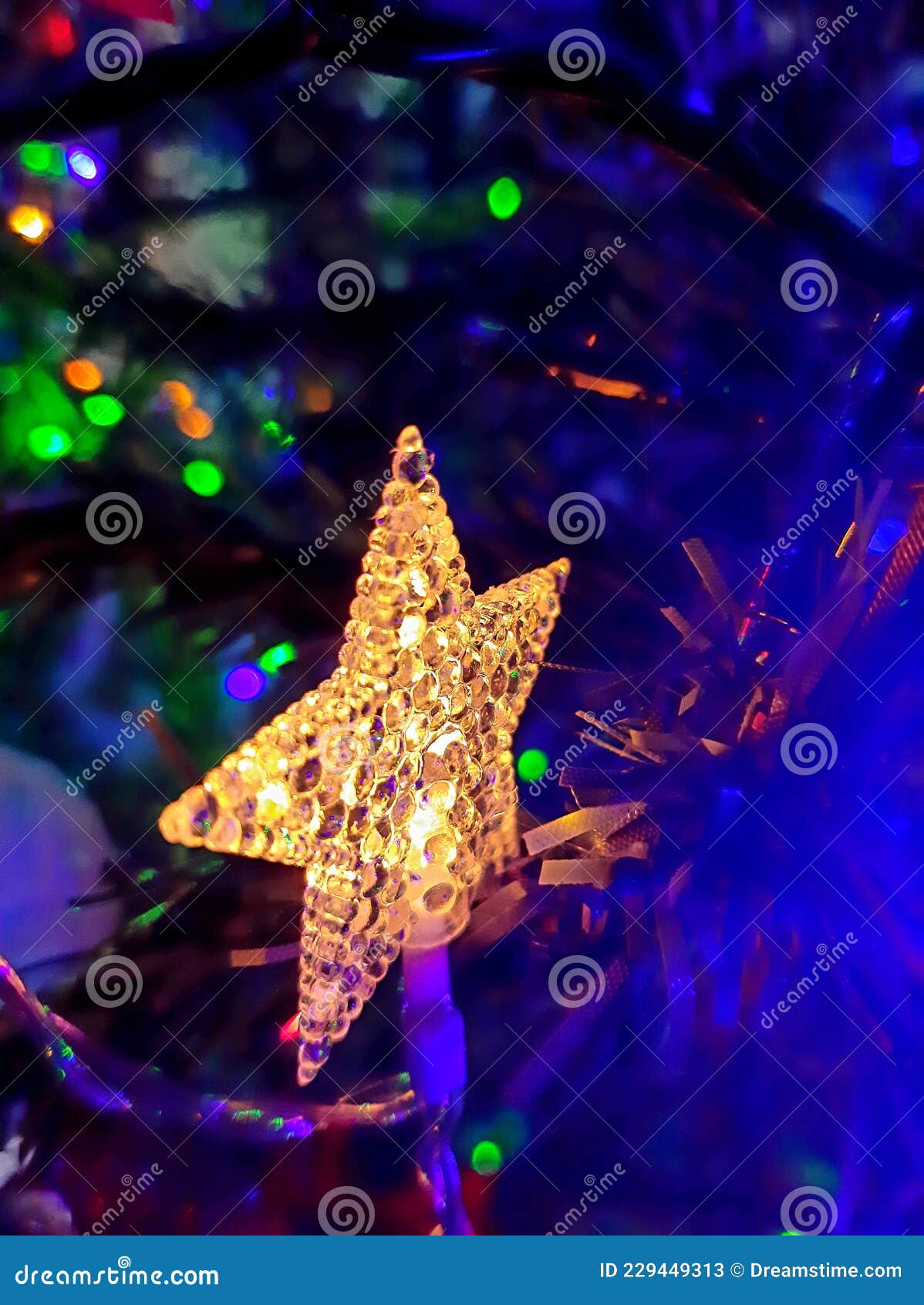 Christmas Star Light on a Tree Stock Image - Image of light, star ...
