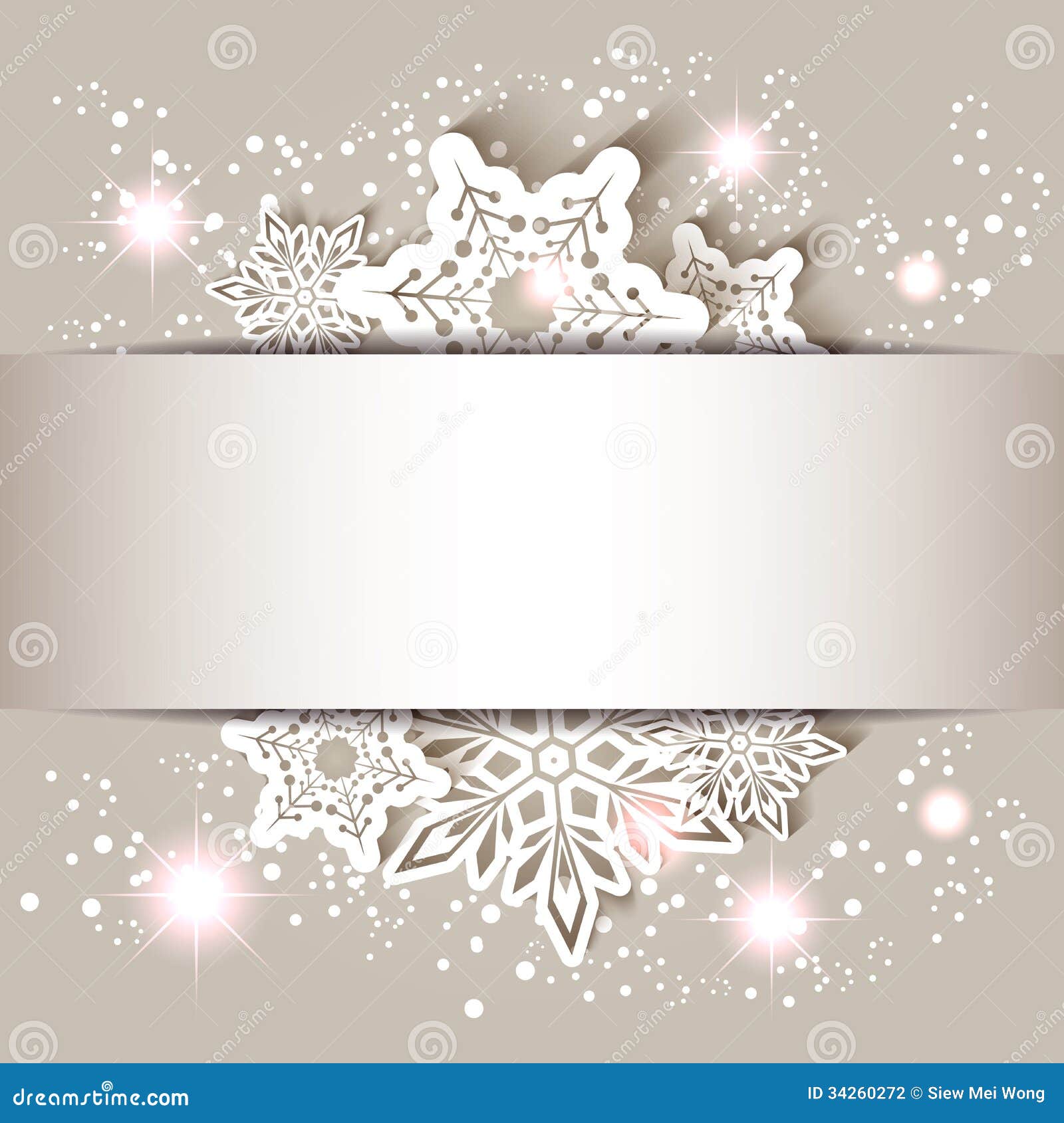 Star Vs Snowflake Schema Comparison For Data Organization Outline ...