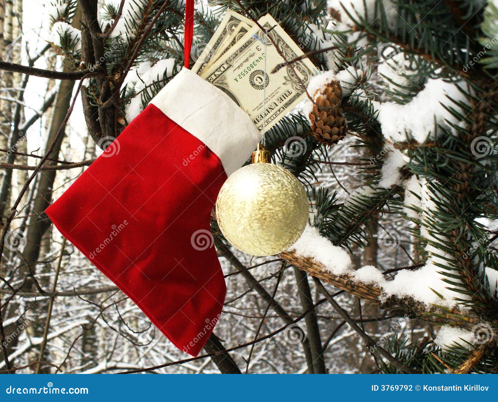 Christmas Stocking with Dollar Bill Stock Photo - Image of bill, forest ...