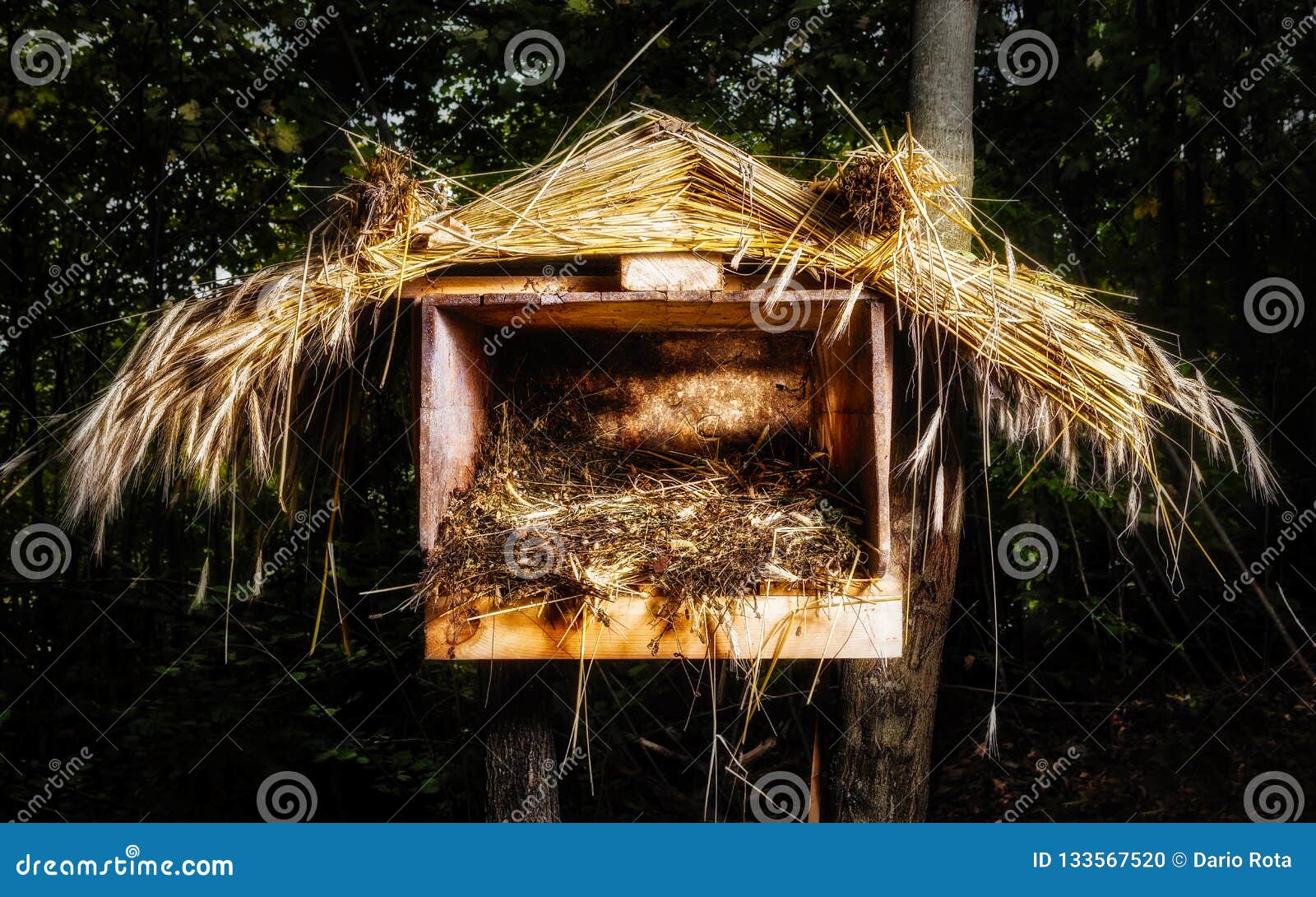 Christmas straw manger stock photo. Image of stable - 133567520