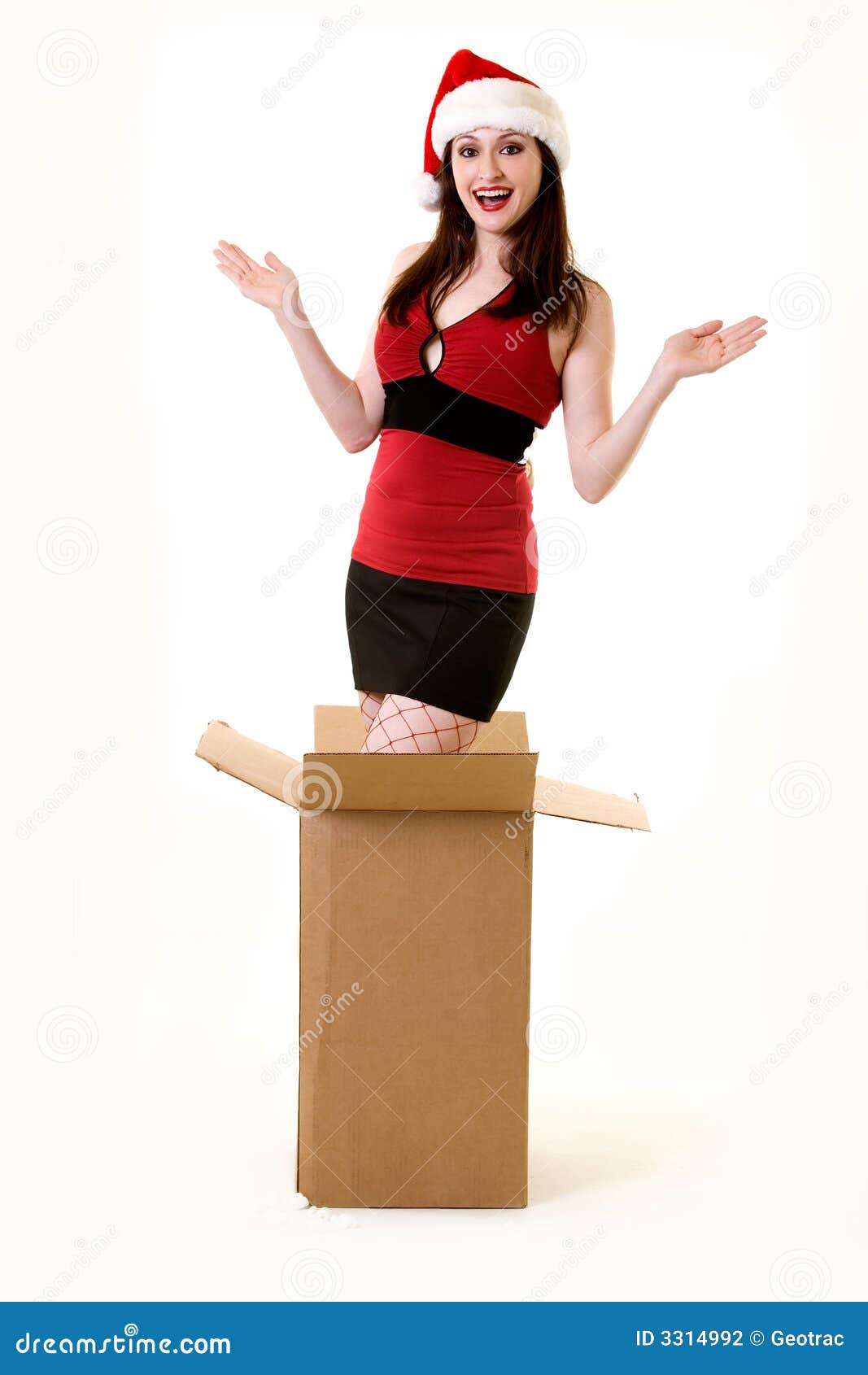 Christmas surprise stock photo. Image of festive, package - 3314992