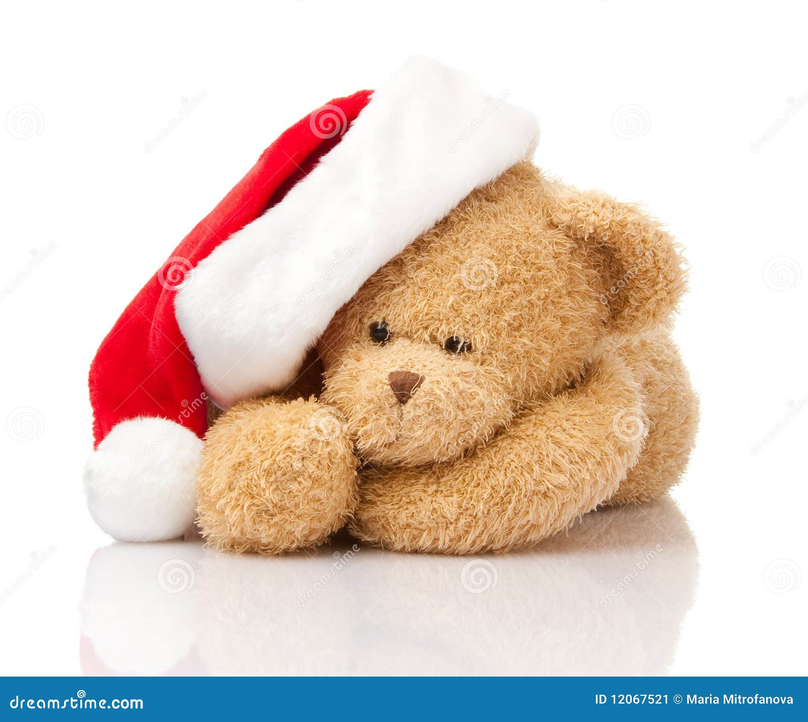 Christmas teddy bear stock image. Image of congratulation - 12067521