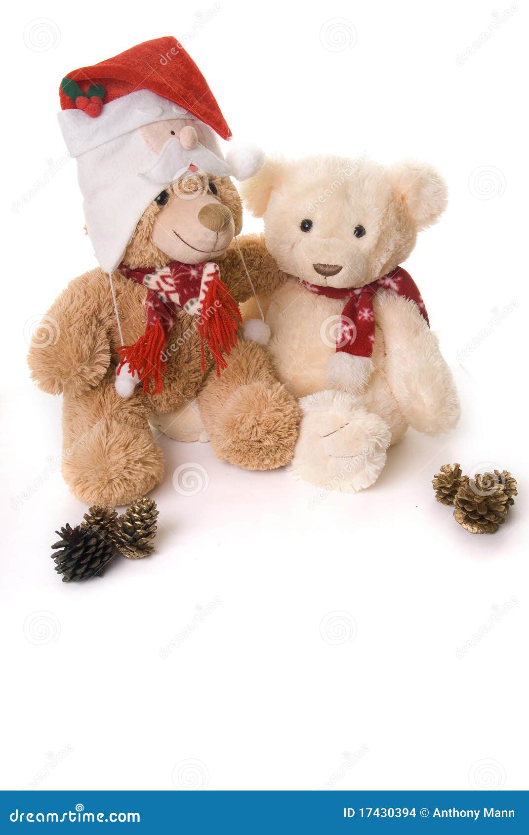 Christmas teddys stock photo. Image of card, decoration - 17430394