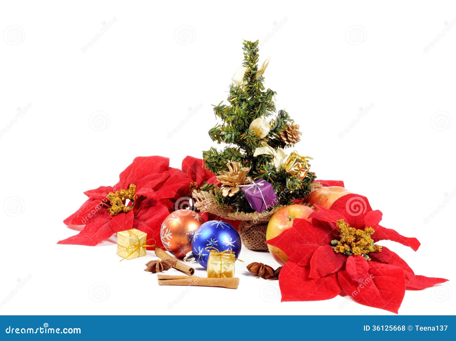Christmas things stock photo. Image of pine, branch, poinsettia - 36125668