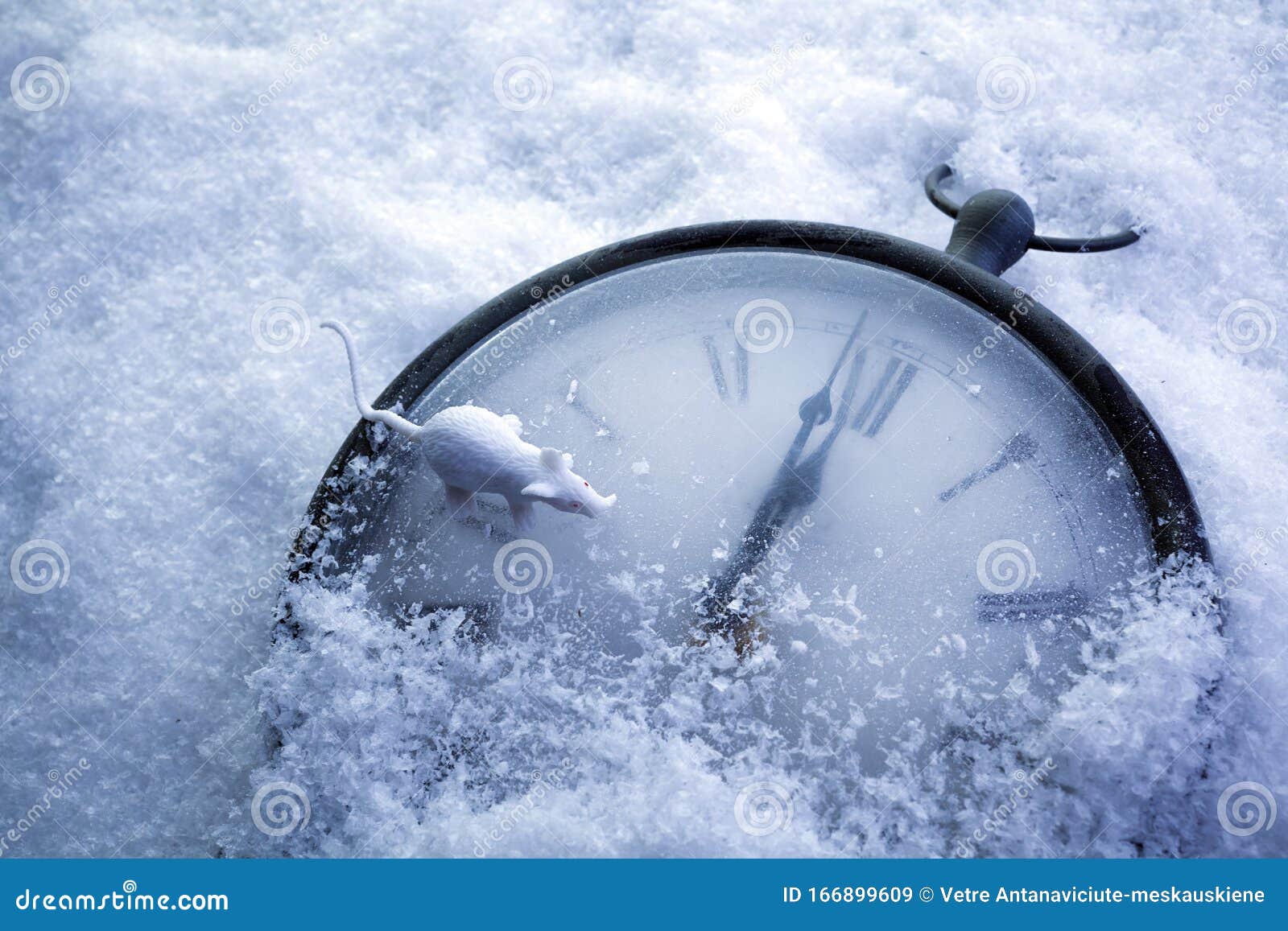 Christmas Time Clock Under Snow, Countdown To Midnight Stock Image ...