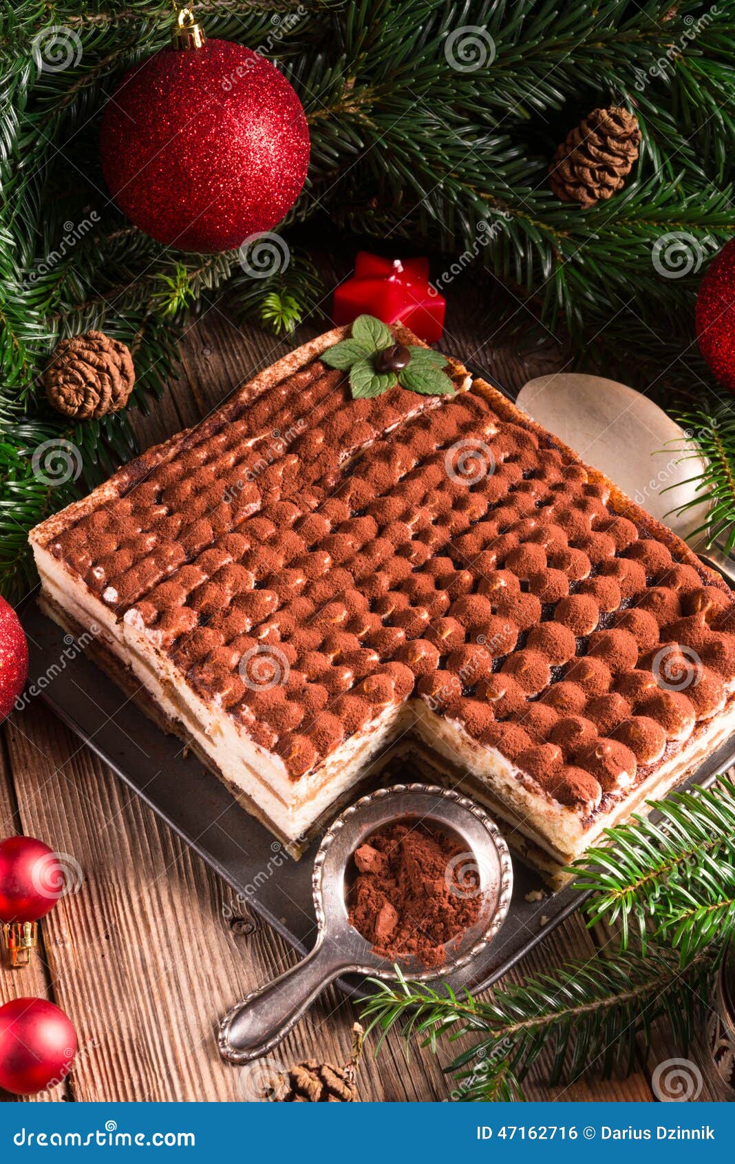 Christmas tiramisu stock photo. Image of cake, cheese - 47162716