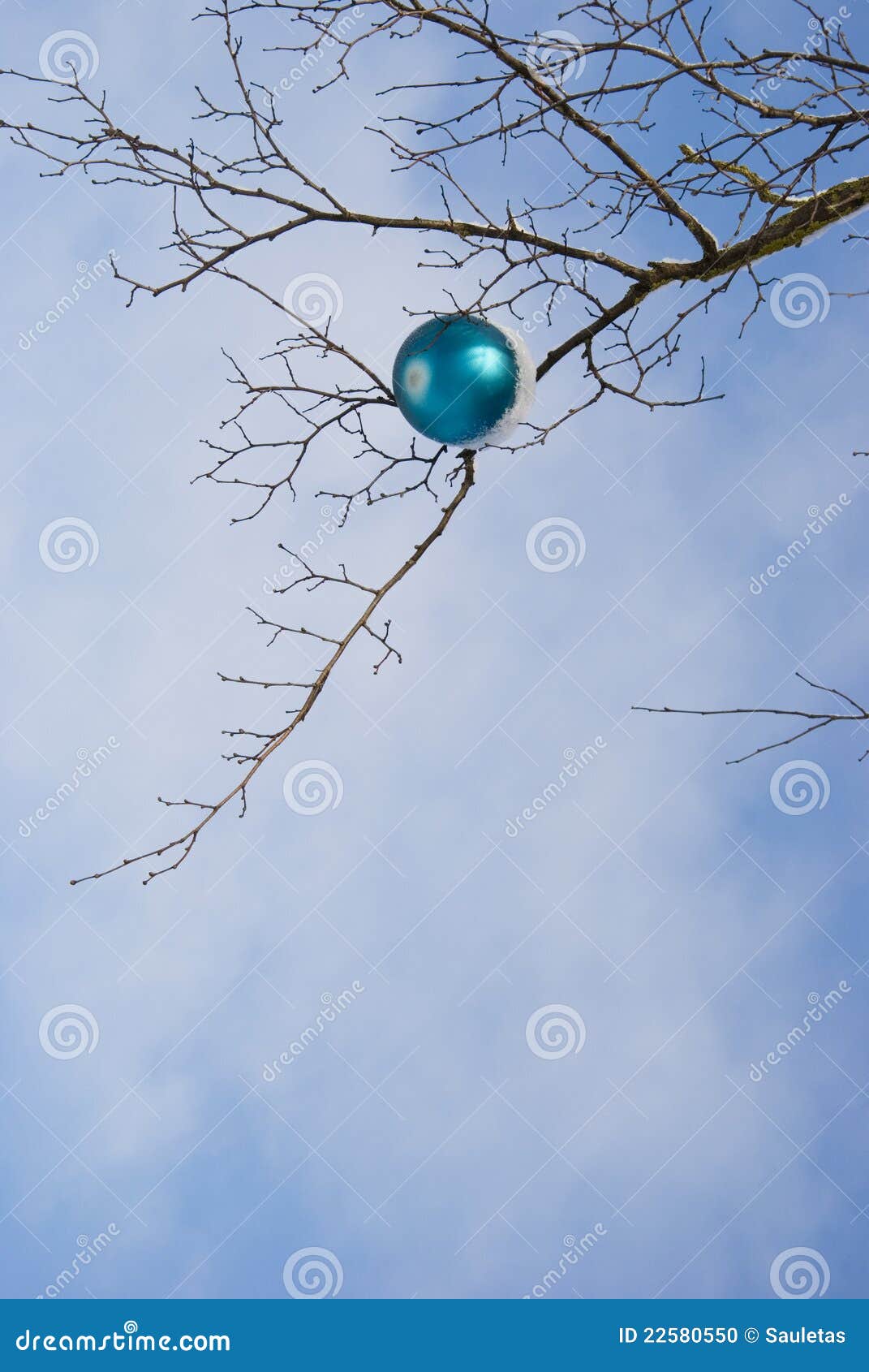 Christmas Toy Covered with Snow Hanging on Tree. Stock Photo - Image of ...