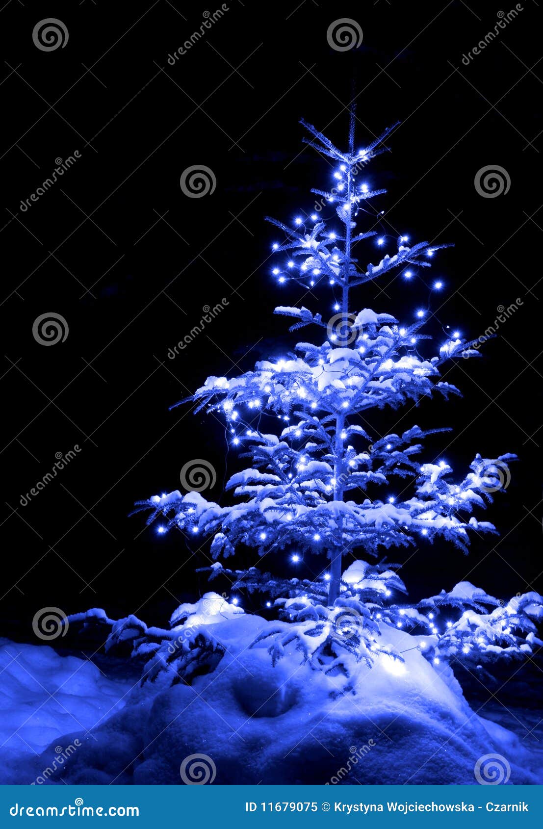 Christmas tree stock image. Image of shiny, cold, christmas - 11679075