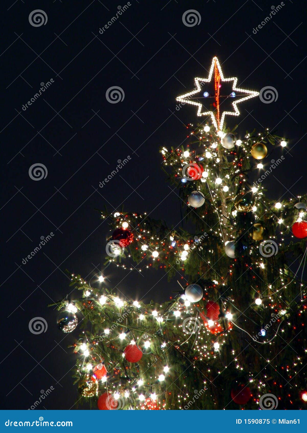 Christmas tree stock image. Image of holy, tradition, creature - 1590875