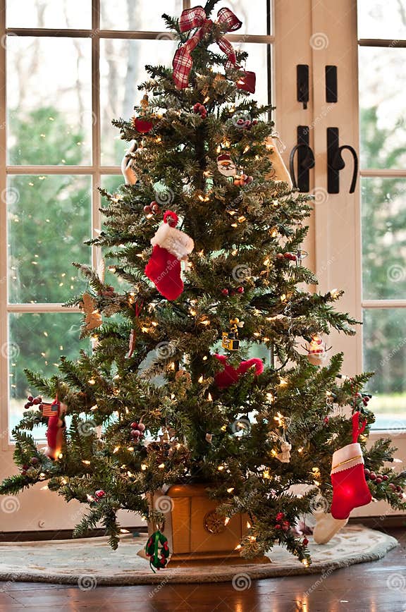Christmas Tree stock photo. Image of green, season, december - 16933702