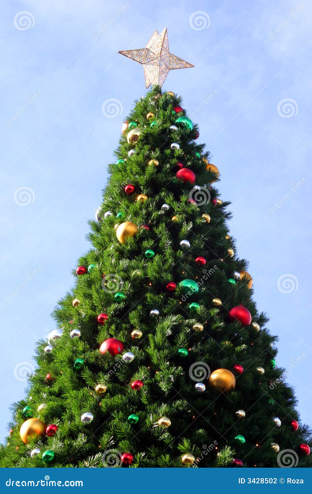 Christmas tree stock photo. Image of holiday, christmas - 3428502