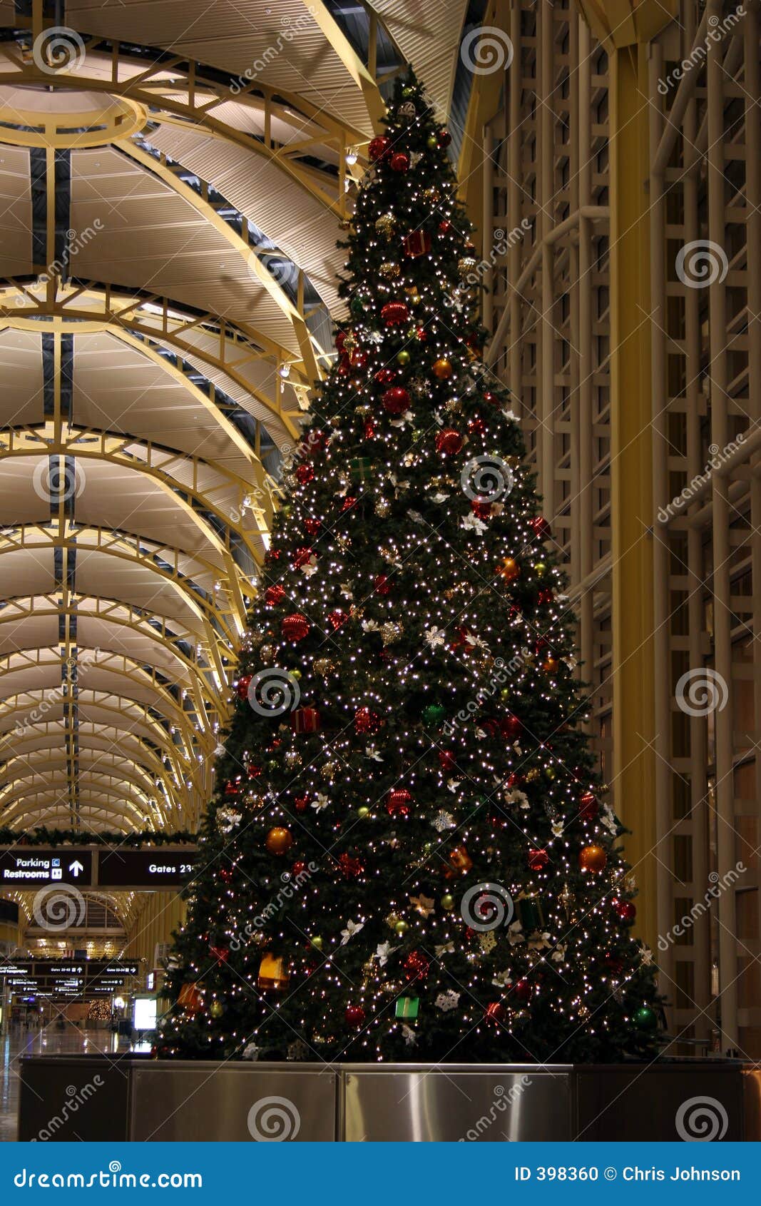 Christmas Tree at Airport stock photo. Image of christmas - 398360