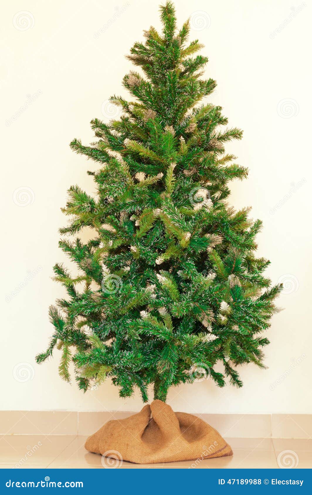 Christmas Tree without Any Decoration Stock Photo - Image of christmas ...