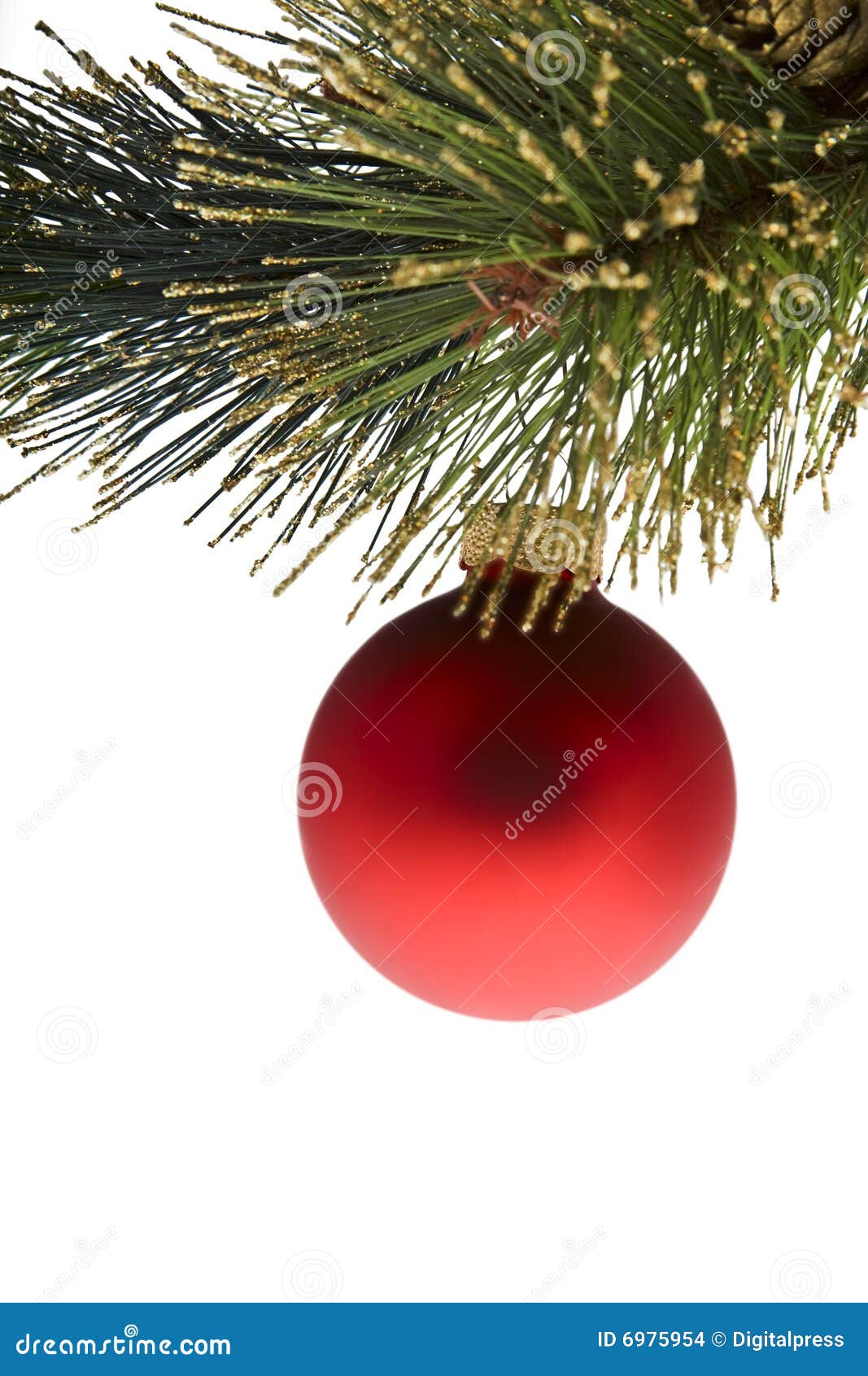 Christmas tree ball stock photo. Image of advent, branch - 6975954