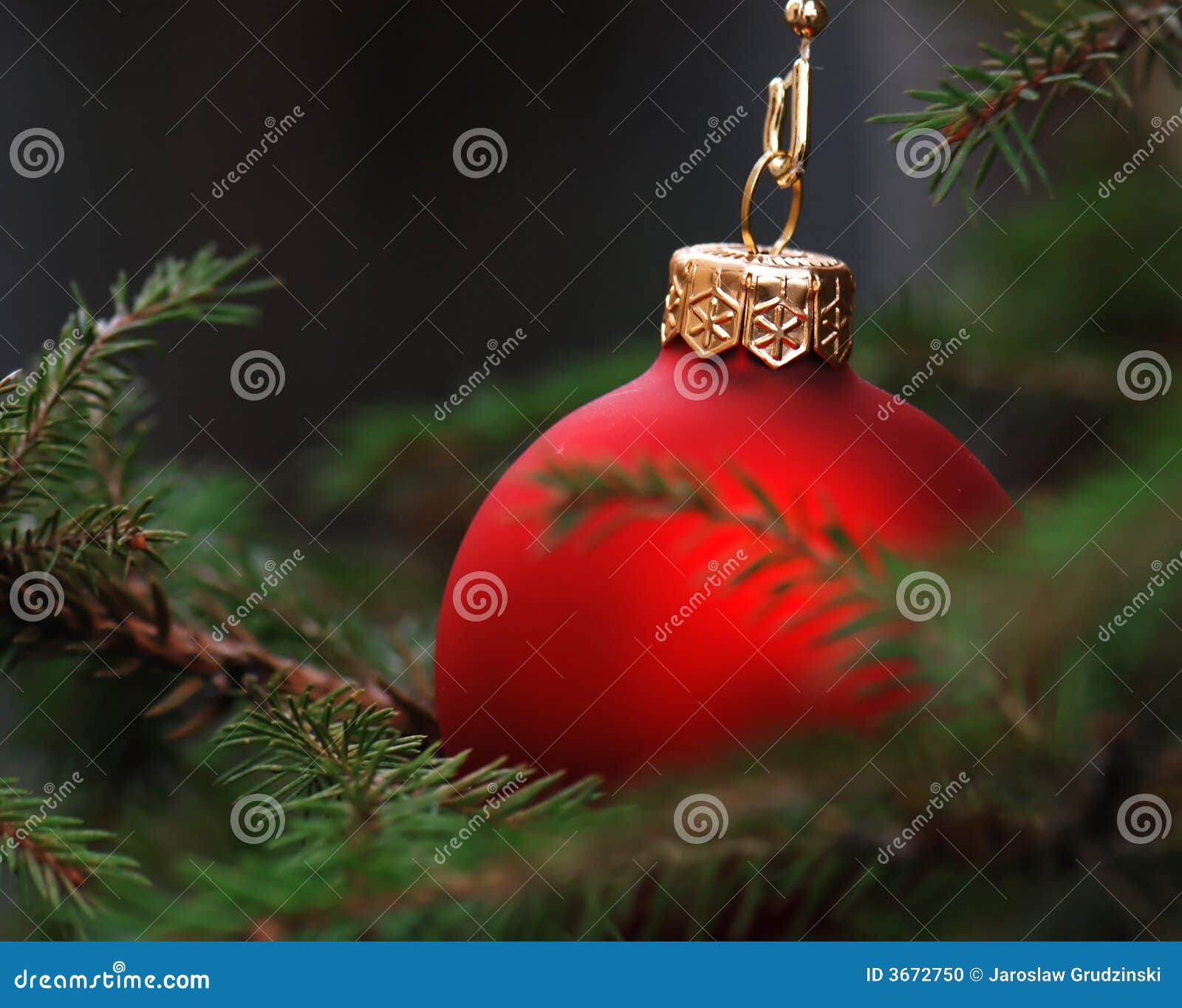 Christmas tree bauble stock photo. Image of hanging, glass - 3672750