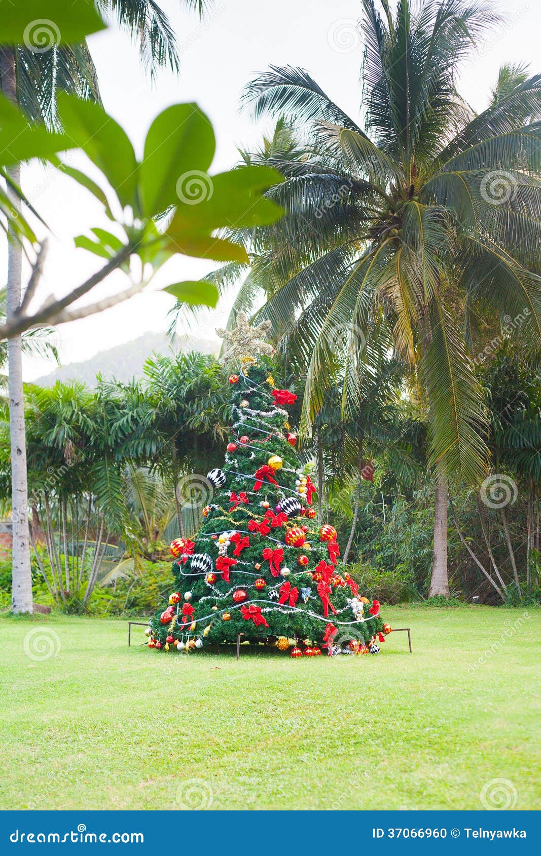 Christmas Tree on Beautiful Tropical Background Stock Photo - Image of ...
