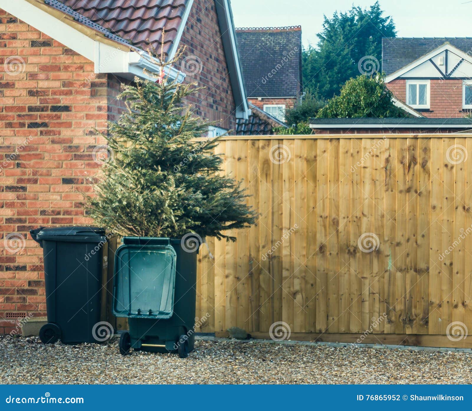 133 Bin Finished Stock Photos - Free & Royalty-Free Stock Photos from ...