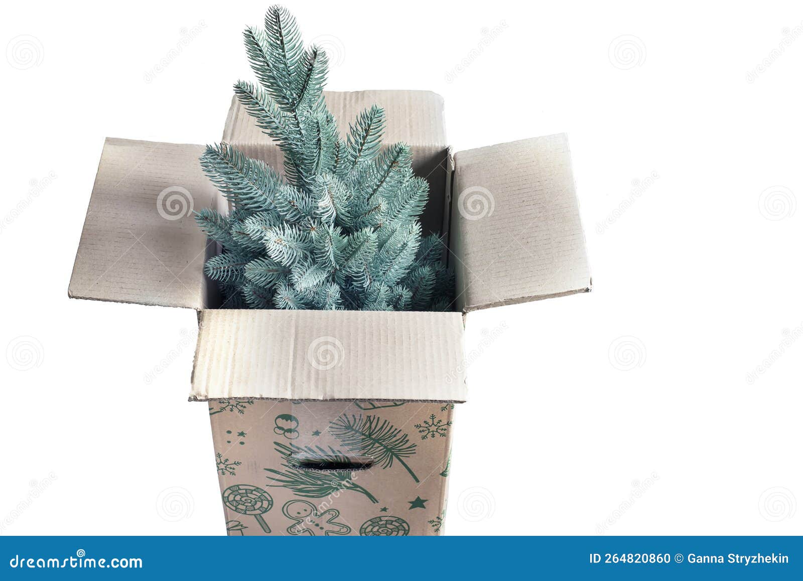 Christmas tree in a box stock photo. Image of packaging - 264820860