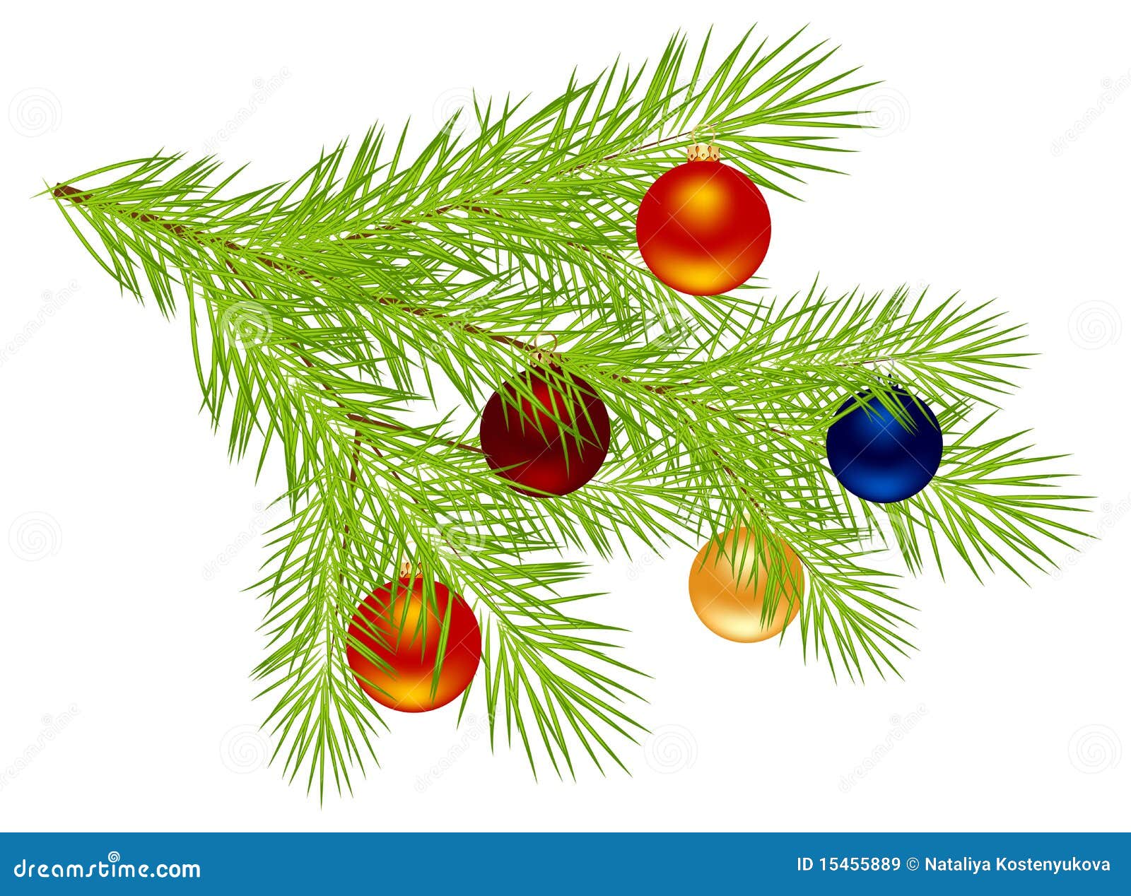 Christmas tree branch stock vector. Illustration of traditional - 15455889