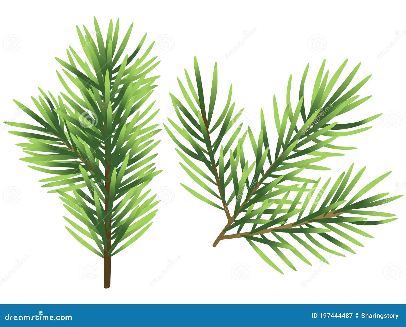 Christmas Tree Branch Illustration Isolated on White Background Stock ...