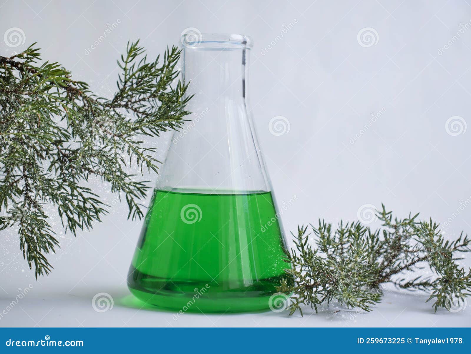 Christmas Tree Branch Laboratory Biology Flask Biochemistry Stock Image ...