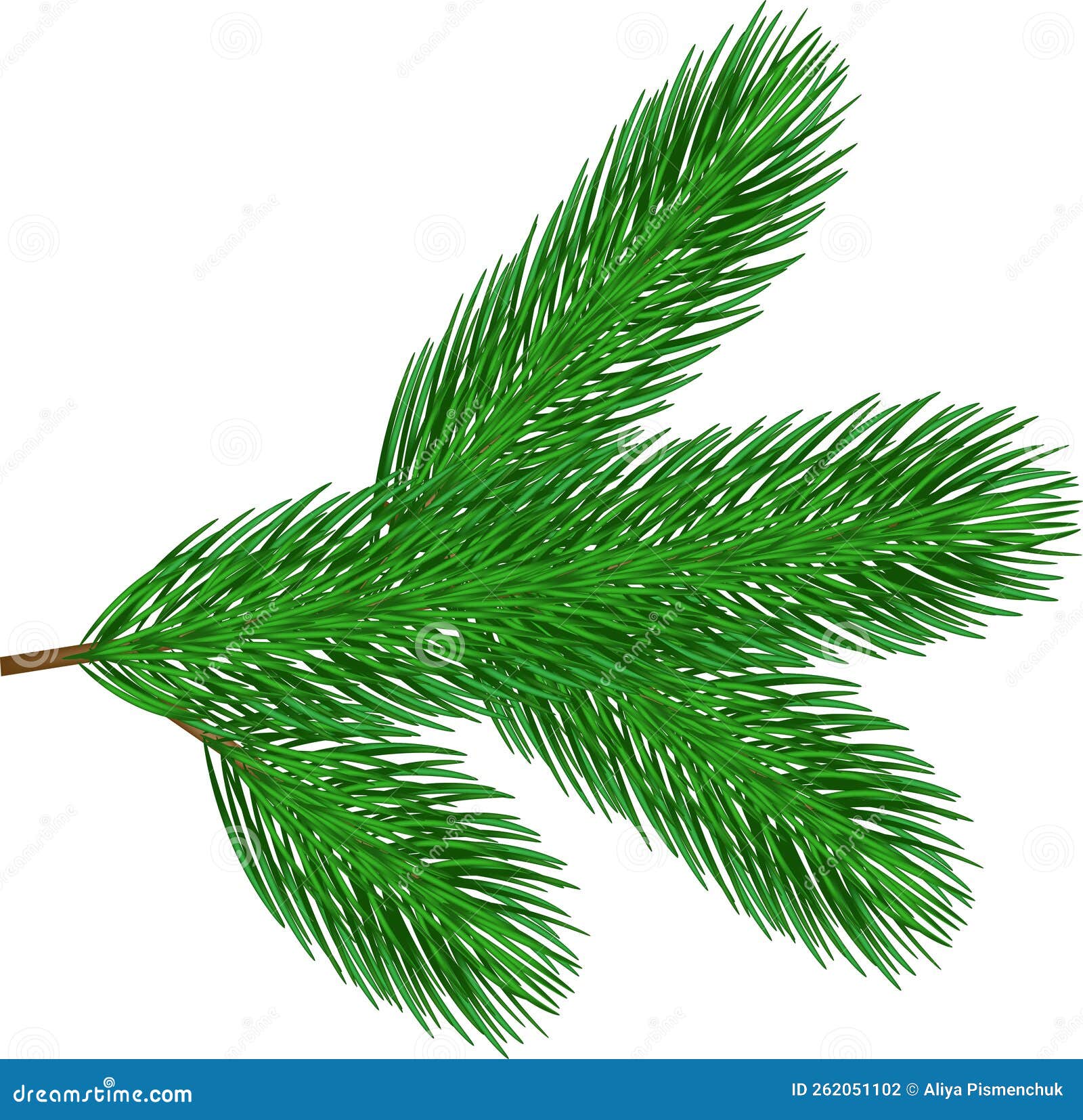 Christmas tree branch stock vector. Illustration of holiday - 262051102