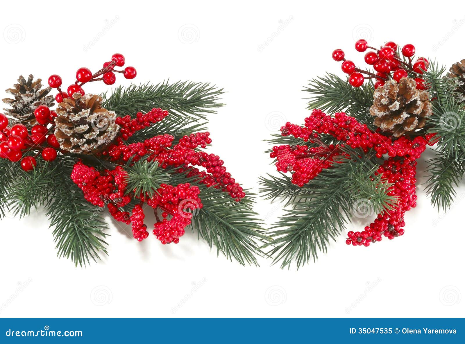 Christmas Tree Branch with Red Berries Stock Image - Image of nature ...