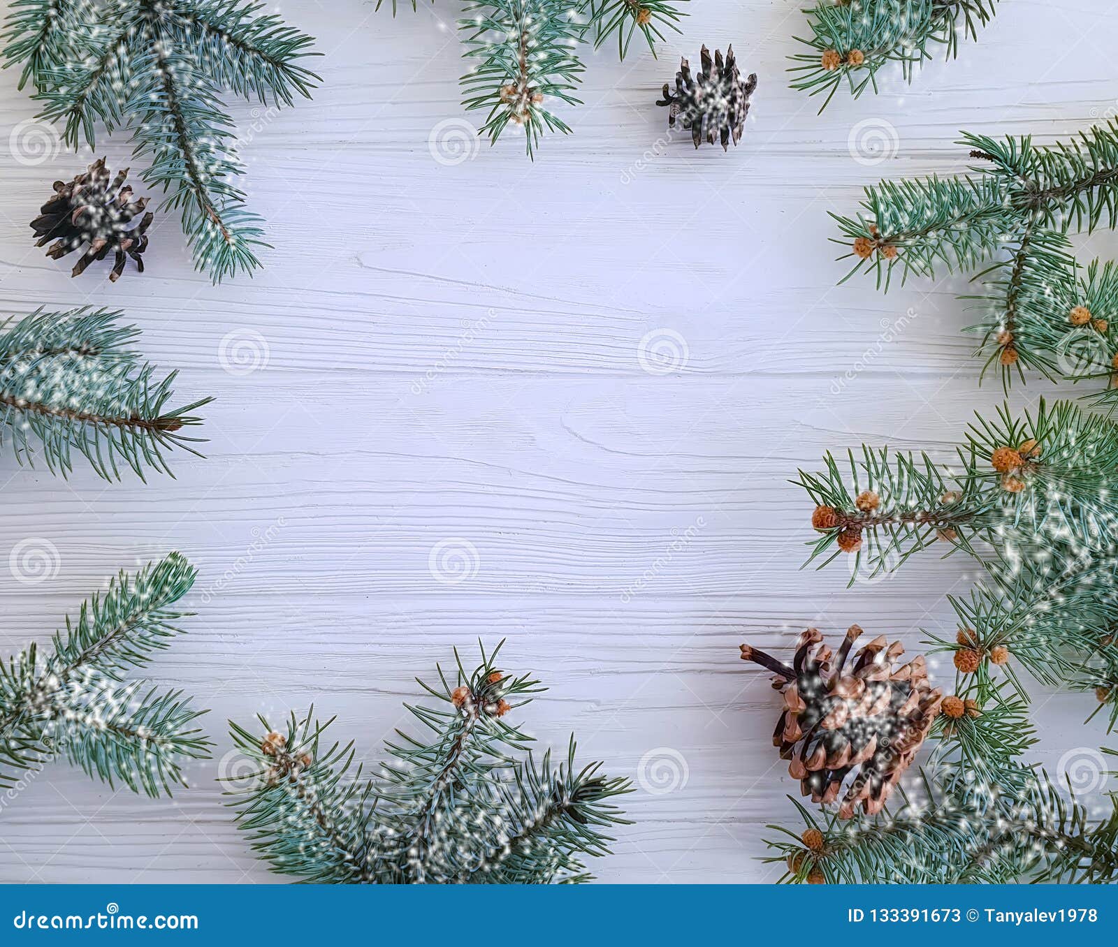 Christmas Tree Branch on a White Wooden Snow Background Frame Stock ...