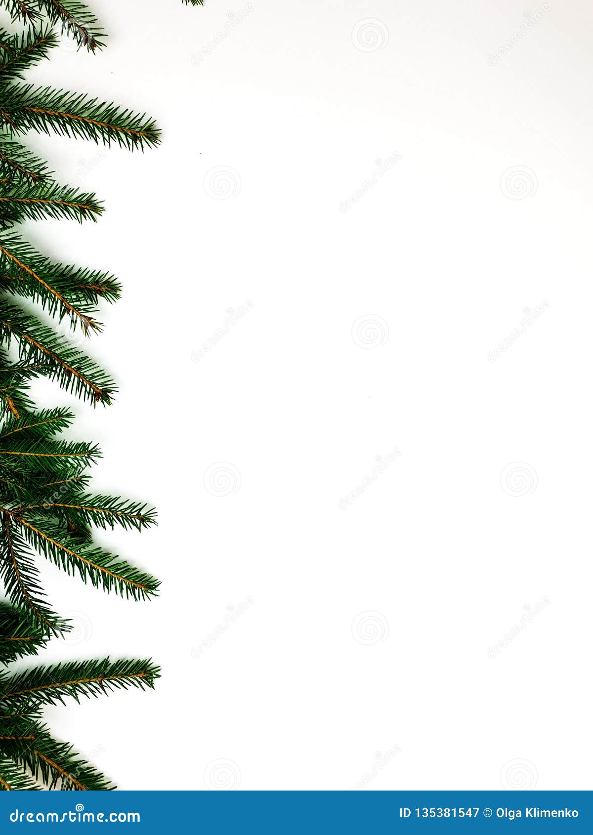 Christmas Tree Branches Border on a White Background, Empty Space and ...