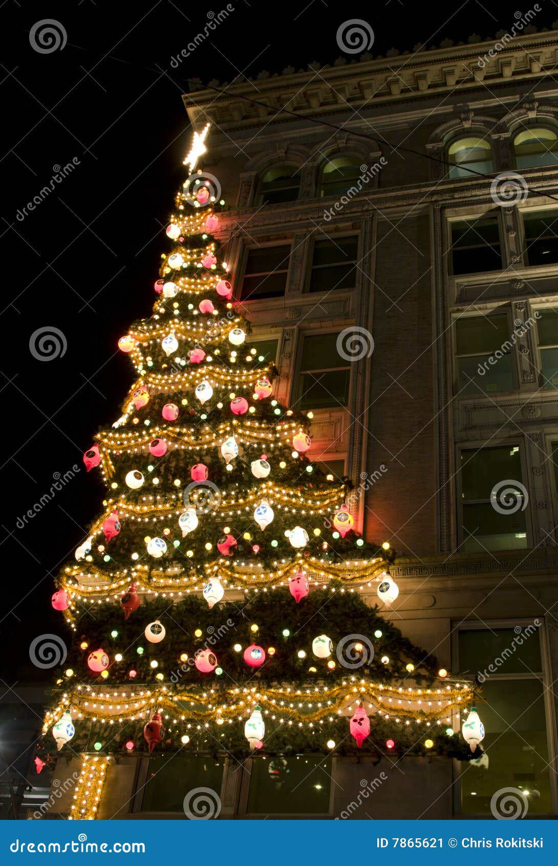 Christmas Tree on Building stock image. Image of holiday - 7865621