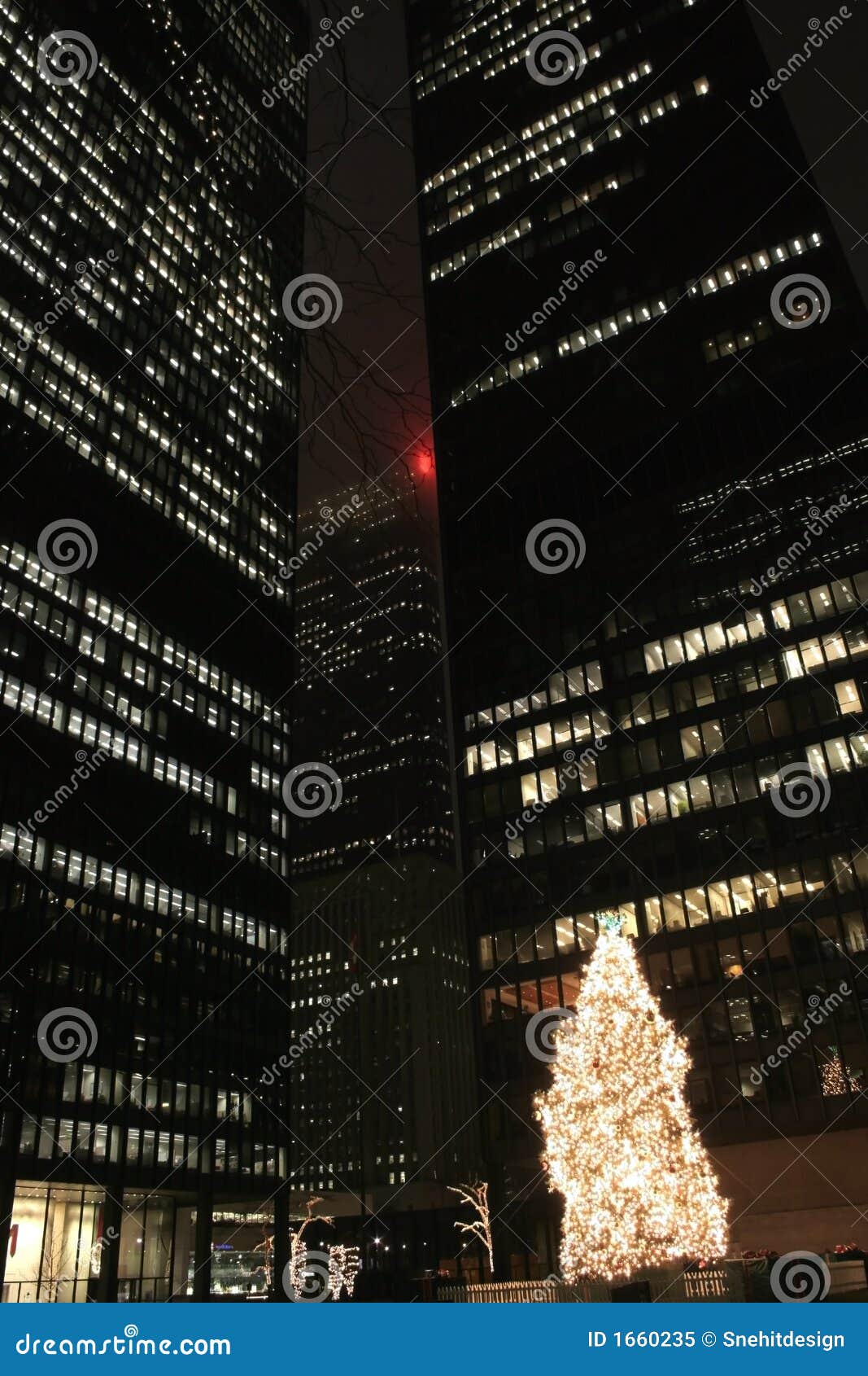 Christmas Tree between Buildings Stock Image - Image of decorated ...