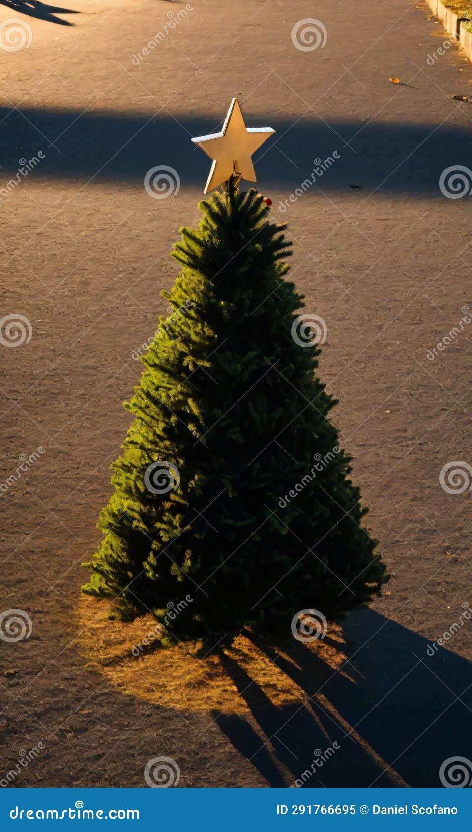 A Christmas Tree Casting Long Shadows in the Evening Light. Generative ...