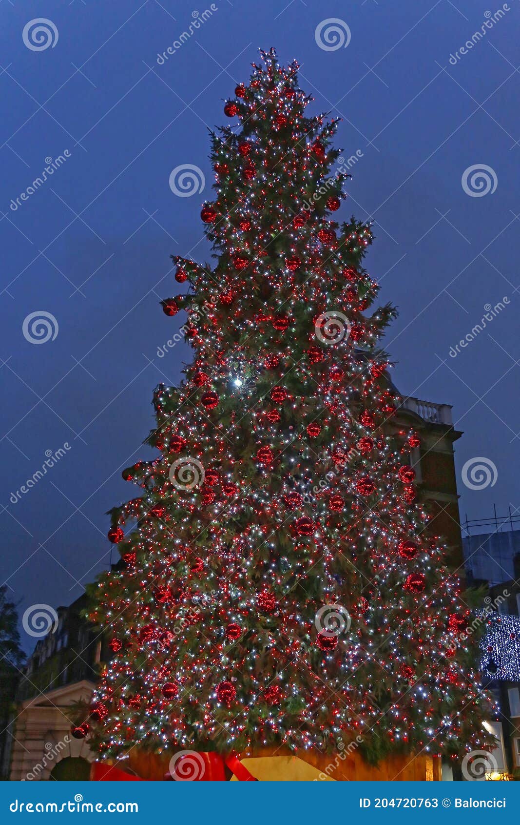 Christmas Tree City Night stock image. Image of evergreen - 204720763