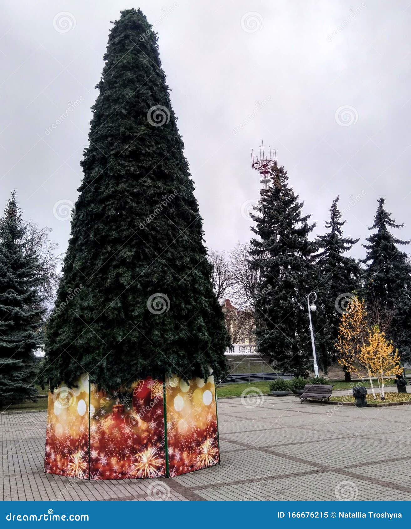 Christmas Tree in the City Park on a Street Editorial Image - Image of ...