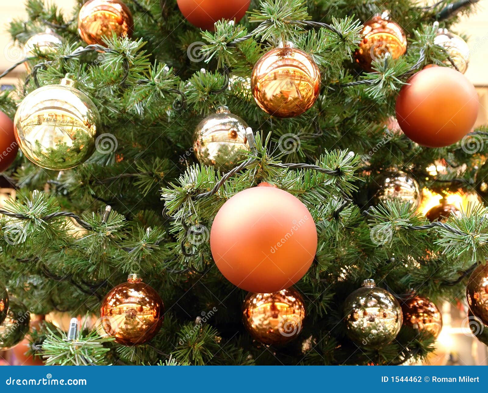 Christmas tree closeup stock photo. Image of tree, spruce - 1544462