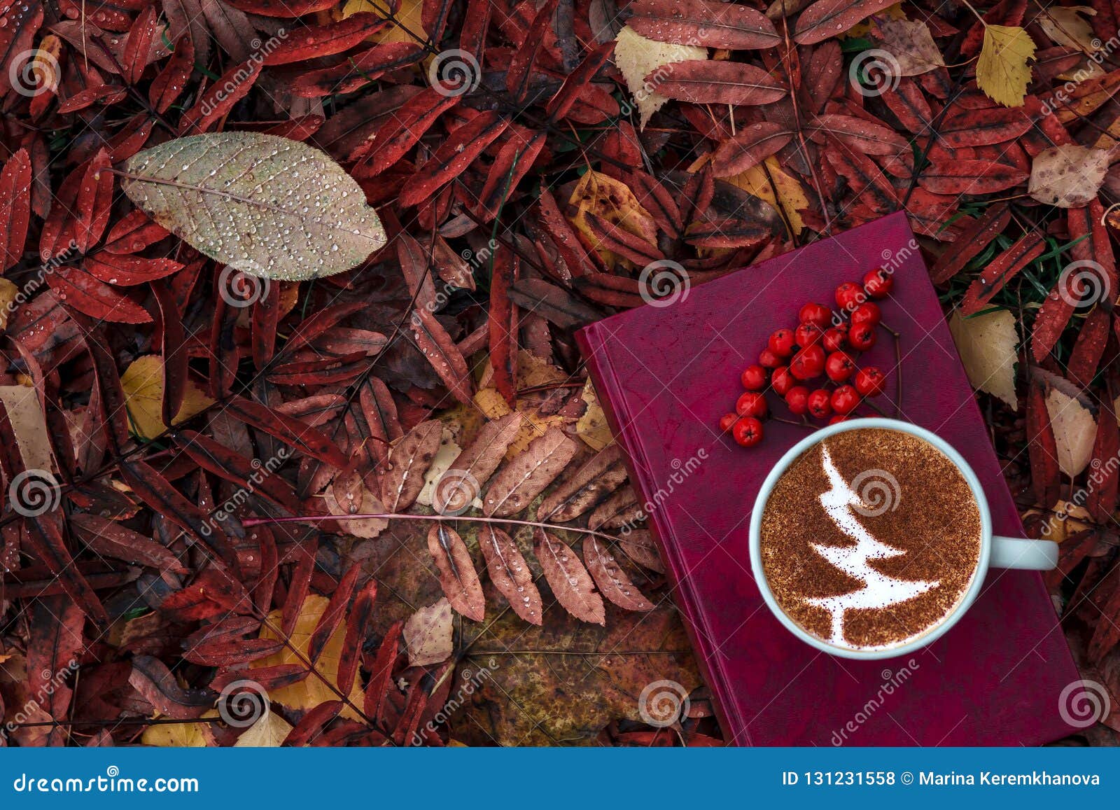 Christmas Tree on Coffee Cup Stock Photo - Image of ceramic, white ...