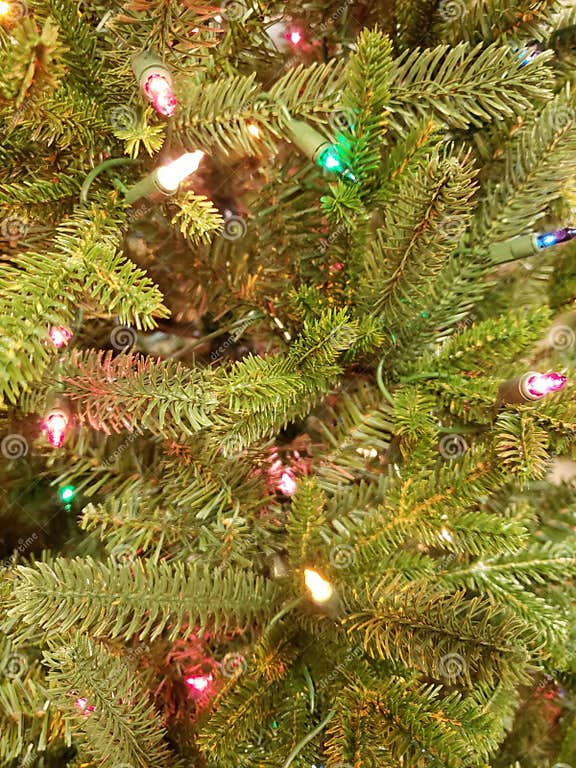 Christmas Tree with Colored Lights Stock Photo - Image of evergreen ...
